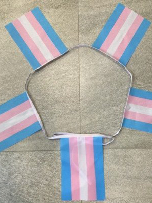 6M - 20 FLAGS TRANSGENDER PRIDE FLAGS – Coexist Berlin